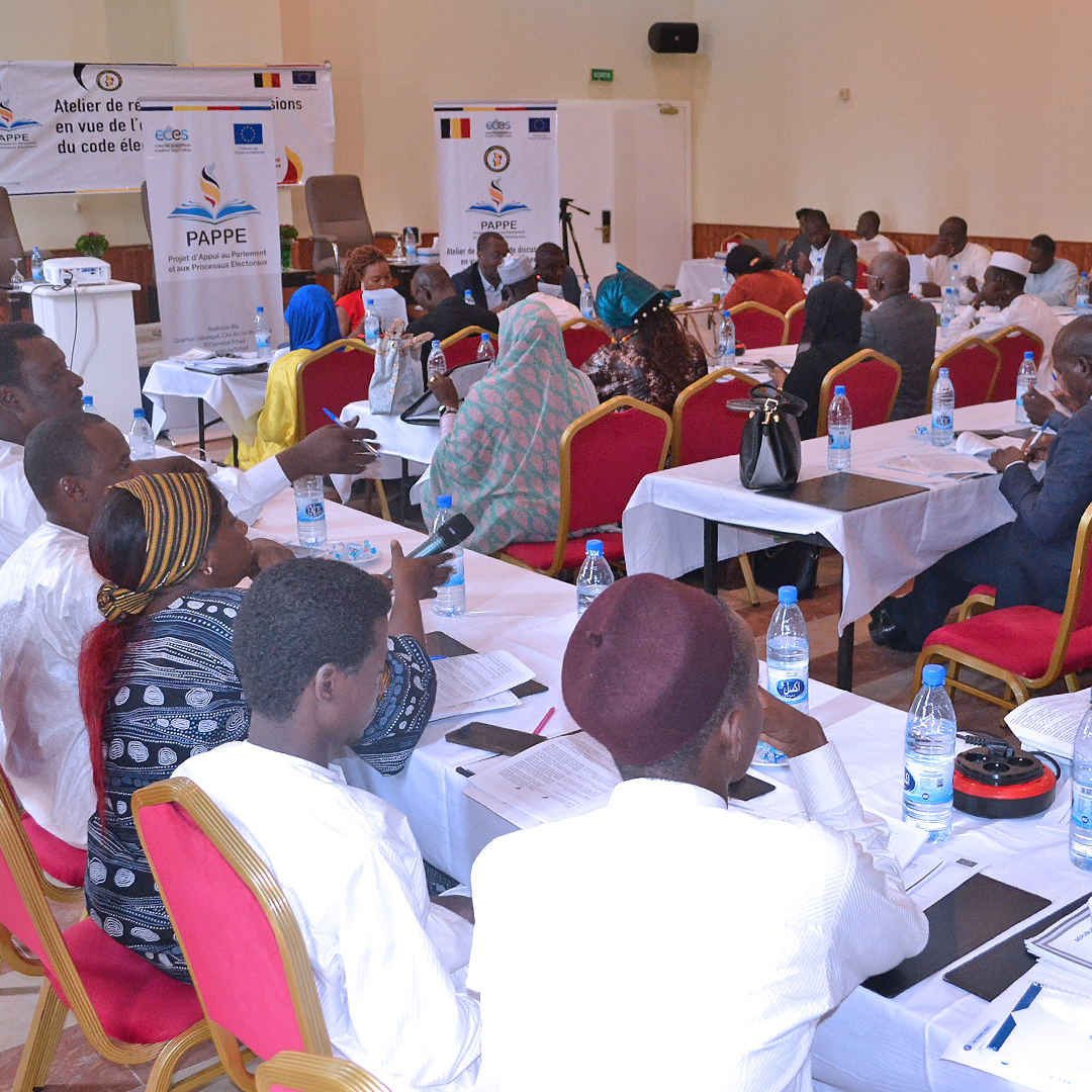 Atelier de renforcement des capacités | Appui Démocratie - Tchad